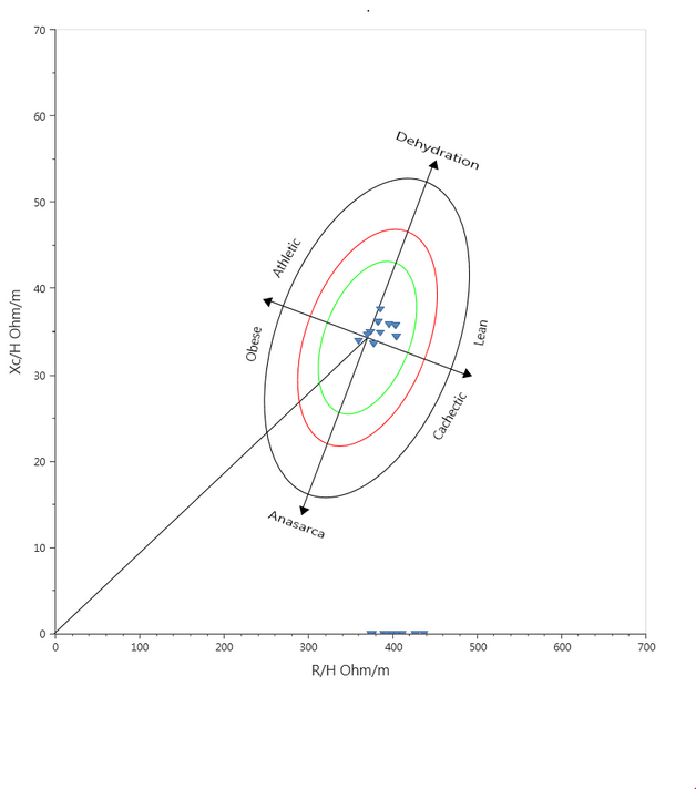 BIVA | Bodystat Website